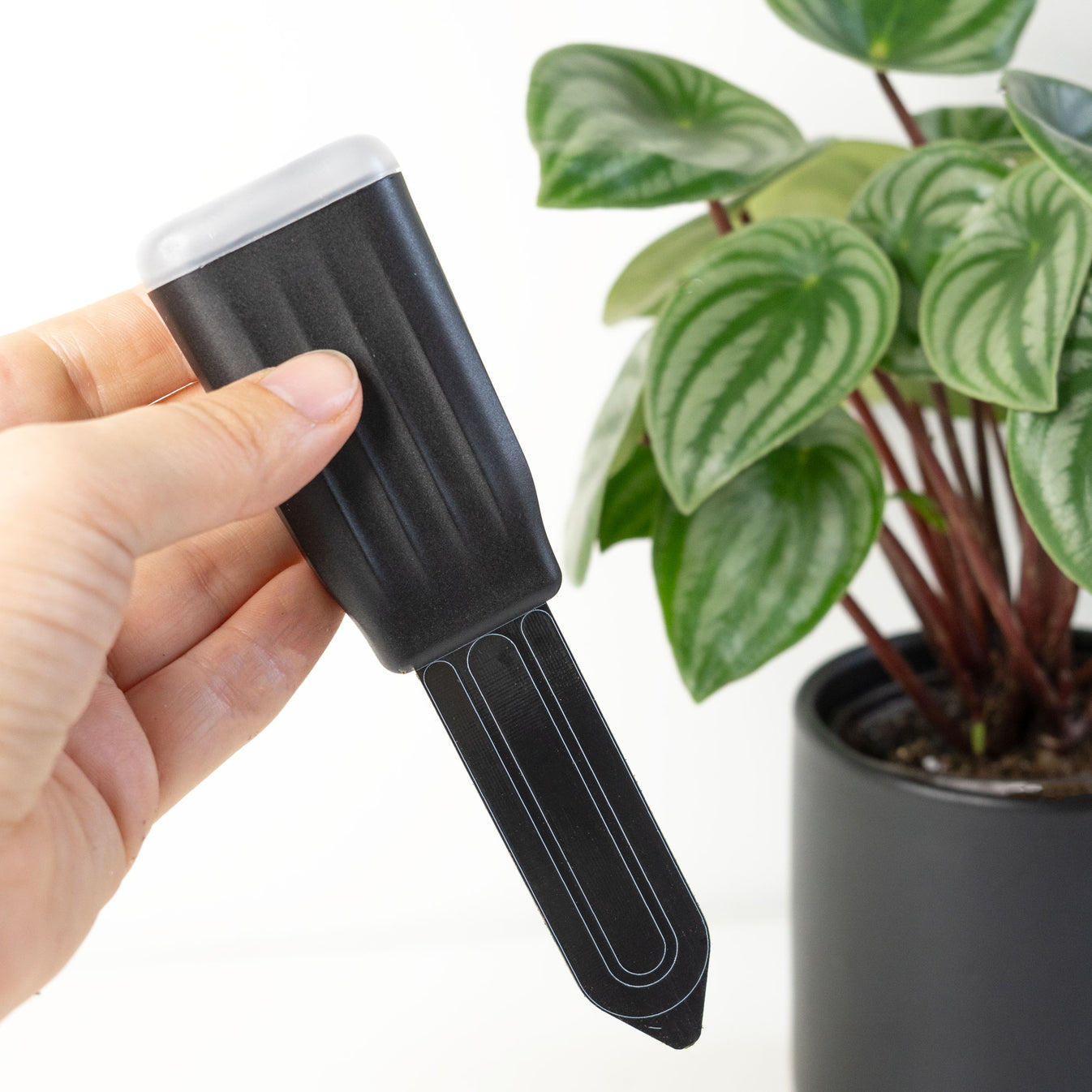 Gardy - Smart Plant Care Sensor - Real-Time Light, Moisture ...