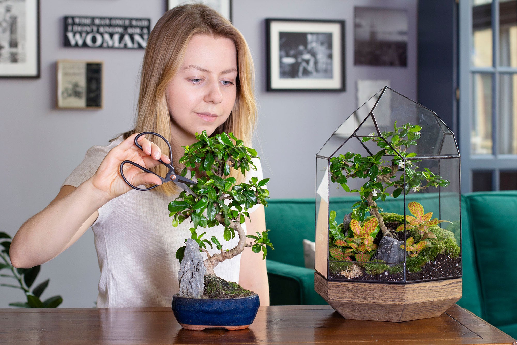 Plant Terrariums - Self-Sustaining Miniature Gardens | Planteia