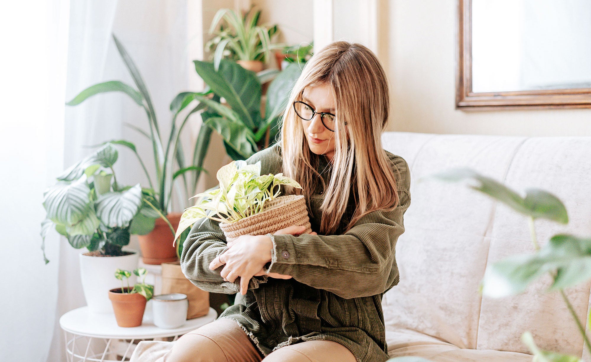 Shop All Plants at Planteia | Planteia
